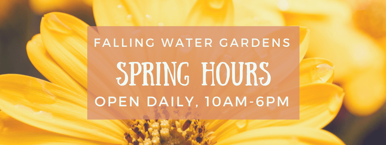 Spring Hours - Falling Water Designs