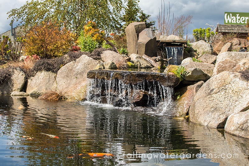 Addressing A Failing Or Faulty Pump - Falling Water Designs