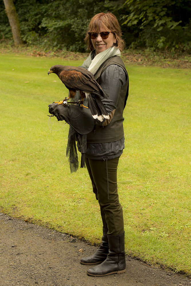 Ireland Day 10 — the hawk walk | Fall into the Story