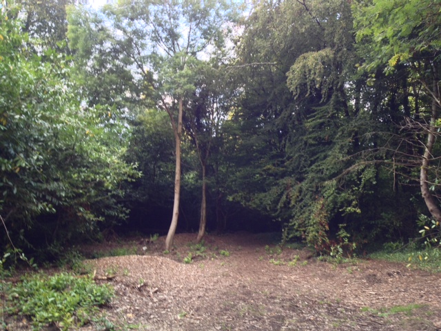 Ireland Day 13 — A trip out and a walk in the woods | Fall into the Story