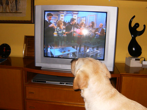 MEDIOS DE COMUNICACIÓN | andreajtic