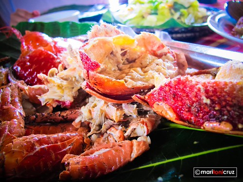 RED BUTTERFLY TRAVEL SERIES: BATANES – Colored Snippets