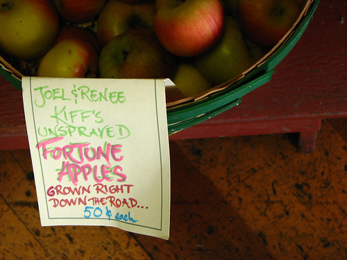 Of Fortune. Apples. And Finding Your Spouse. | the future is...