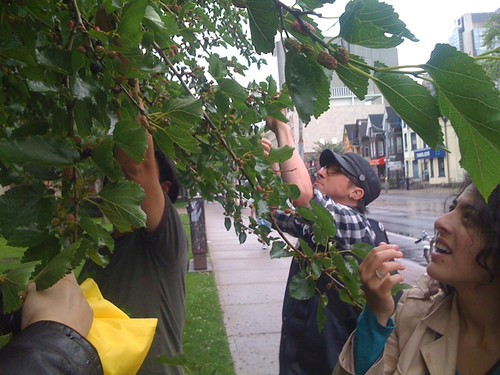 Eating fruit right off the tree | Pass the Butter Please