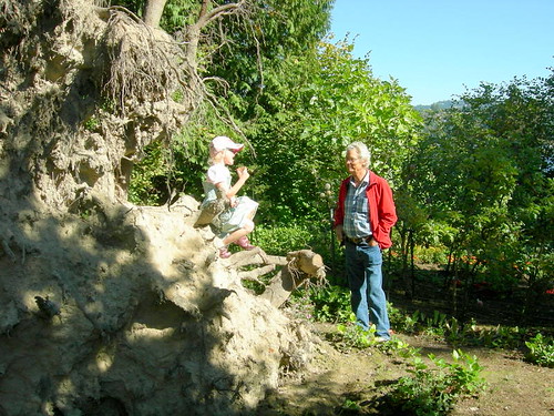 Root Ball Sculptures | Greenwalks
