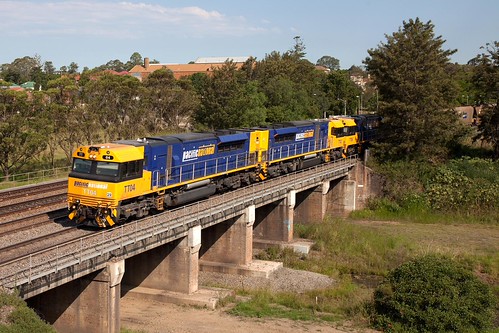 Hunter Valley High Rollers – Trackside