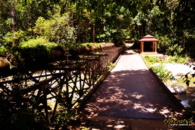 Cold Water at Burmese Pool in Taiping, Perak – MeshTalkz
