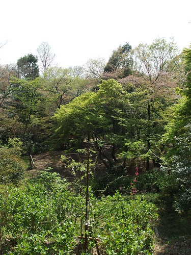 Todoroki Valley / Todoroki Fudo Temple