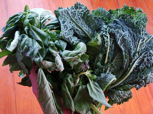 Kale for Beginners | bake me away!