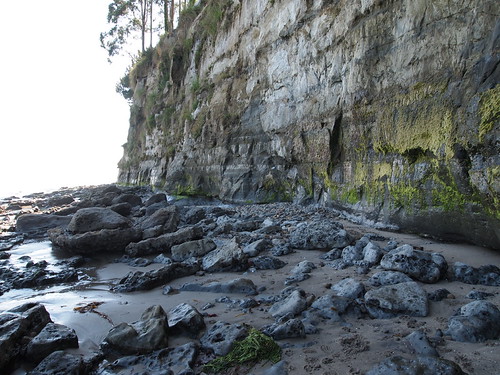 Finally, hunting for some vertebrates! | A Central Coast Paleontologist