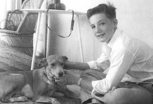 Tehran; Mossadegh; Shah; Fitzroy pool protest; Lac Clair | Down Under