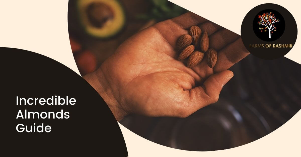 Incredible Almonds Guide | 10+ Health Benefits of this Amazing Fruit ...