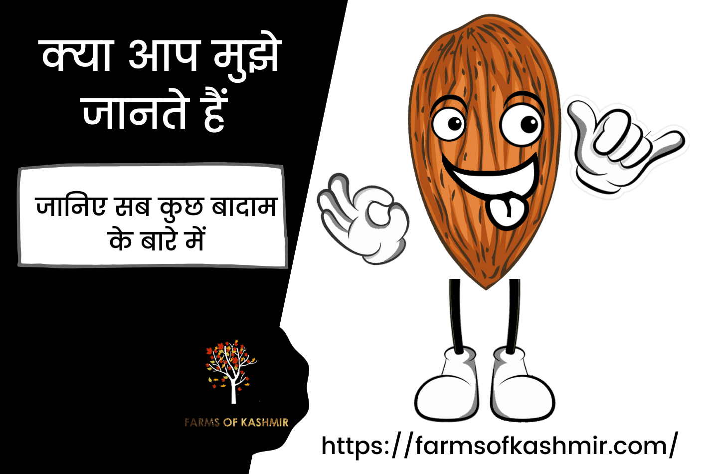 Badam in Hindi (बादाम ) के बारे में जानिए सब कुछ | बहुत फाइयेमंद है ...