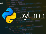 Best Online Python Coding Classes For Kids Teens Codingal