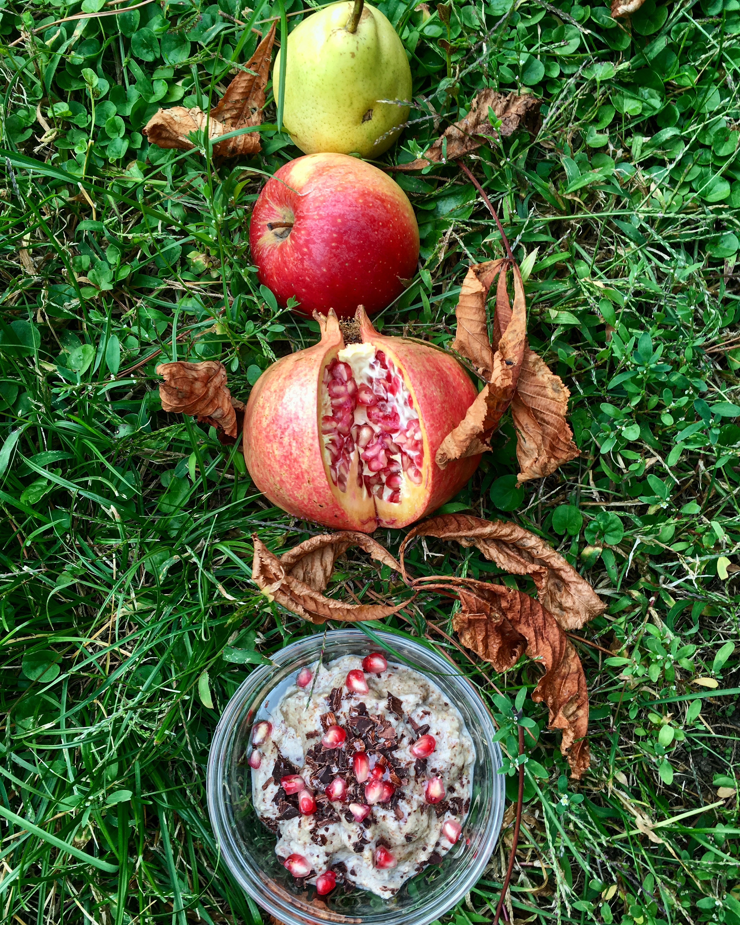 Crema Budwig autunnale ( Fall Budwig cream) | Stefania Fermi ...