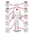 Curso De Suturas