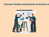 Convert Pandas Dataframe To Numpy Array With Code