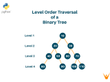 Level Order Traversal Of Binary Tree Python Code Favtutor