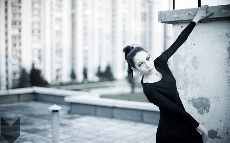 Wear Wolf on the ROOF