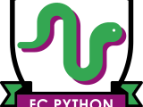 Building Interactive Analysis Tools With Python Streamlit Fc Python