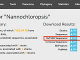 Phylogenetics Ccap Tutorials