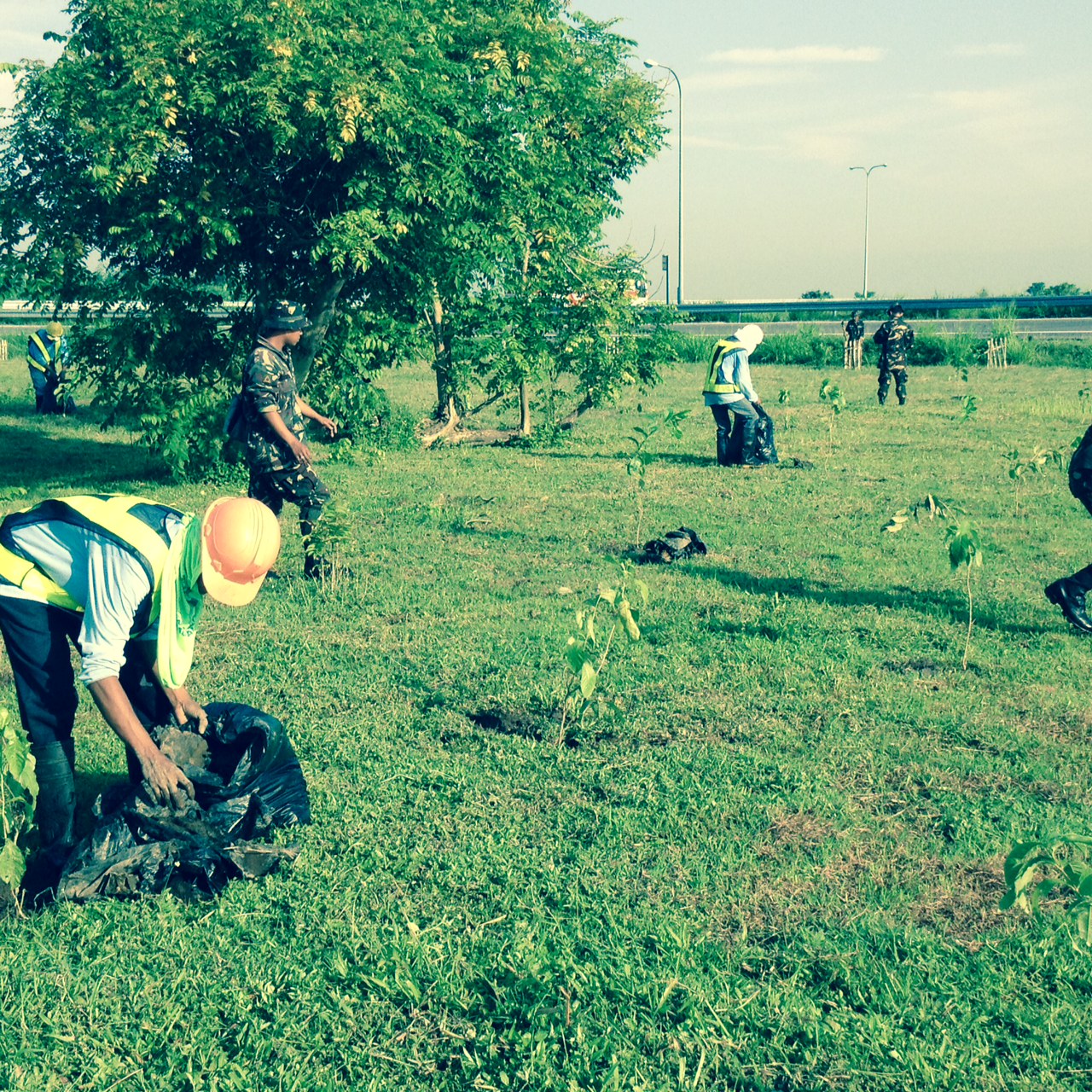 2014 Thousands of Indigenous Trees Planted Along Philippine National ...