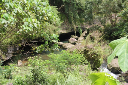 Ridge to Reef (R2R) – Watershed Rehabilitation | Fostering Education ...