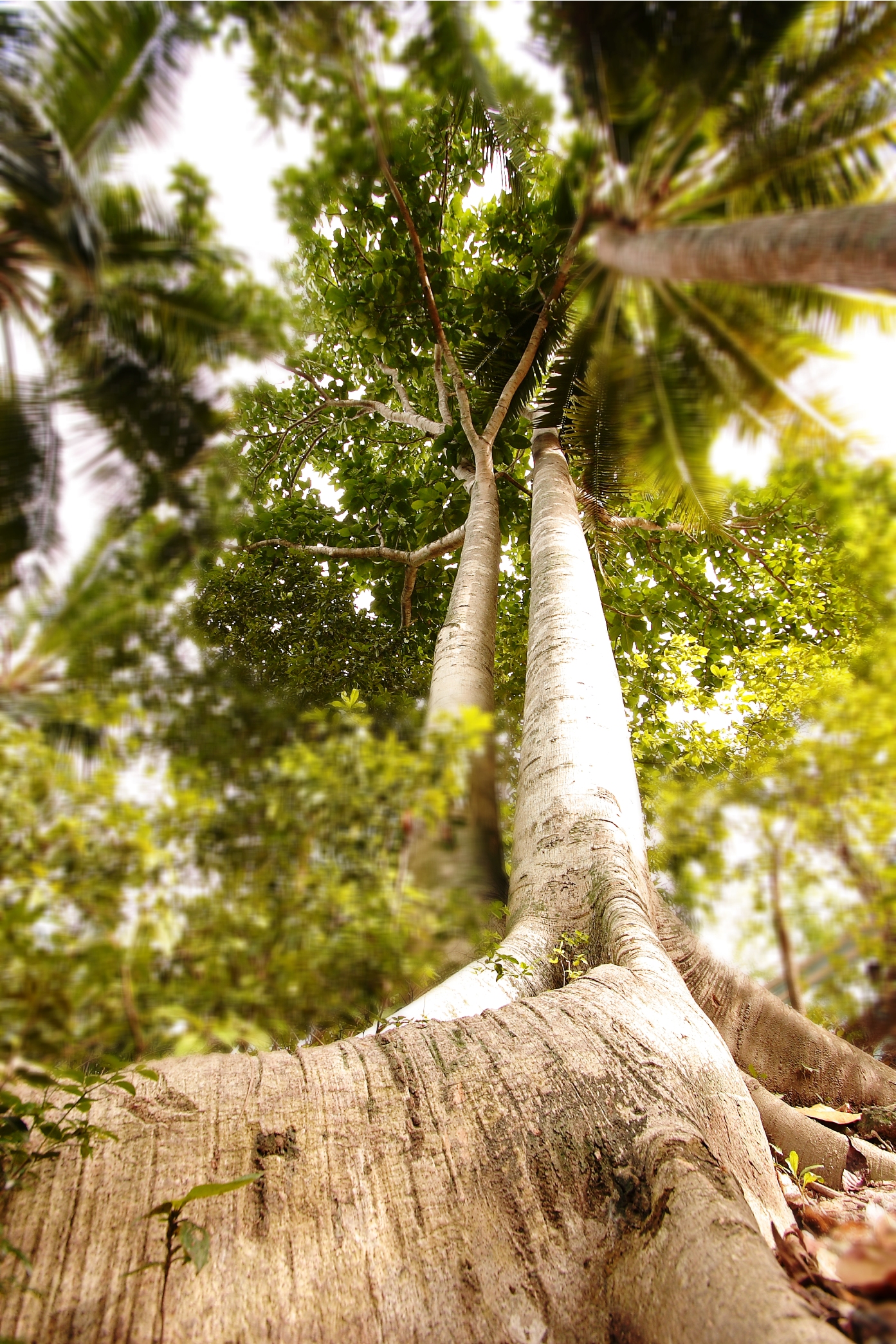 Jetti’s ‘Agents of Change’ Give Back to the Environment, Planting 400 ...