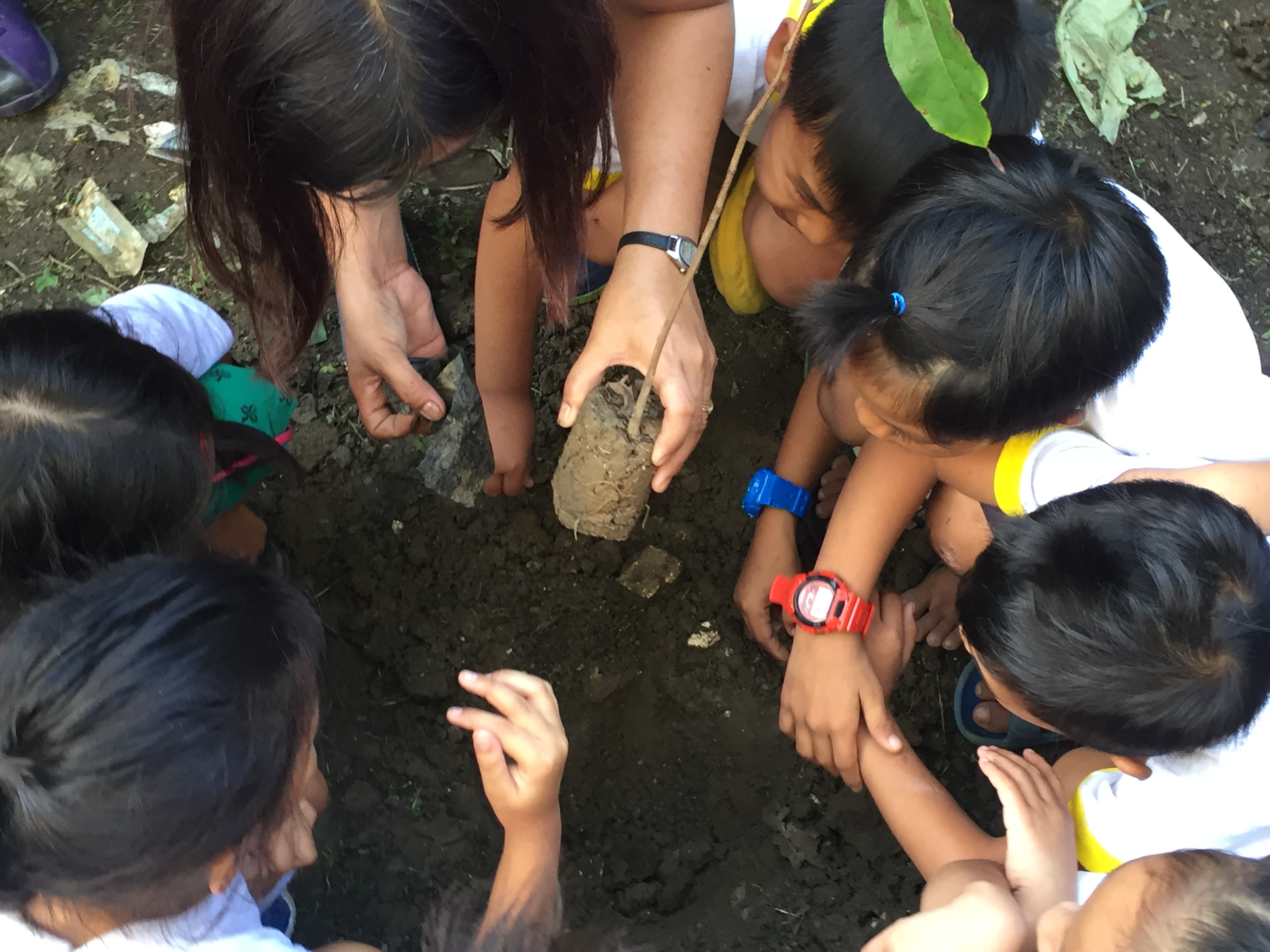 4000 Students Plant 800 Trees in 22 Hagonoy Public Schools to Tackle ...