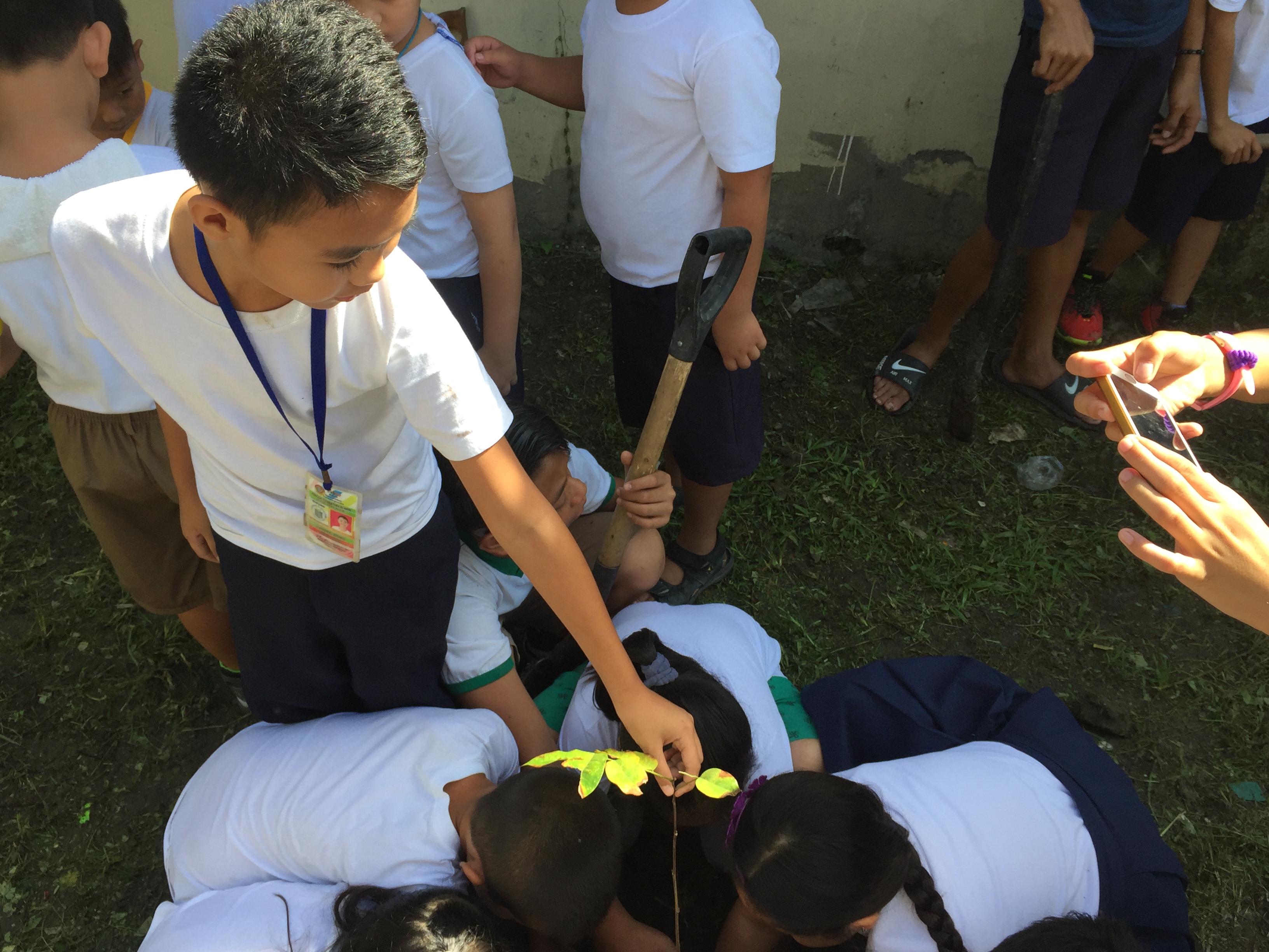 4000 Students Plant 800 Trees in 22 Hagonoy Public Schools to Tackle ...