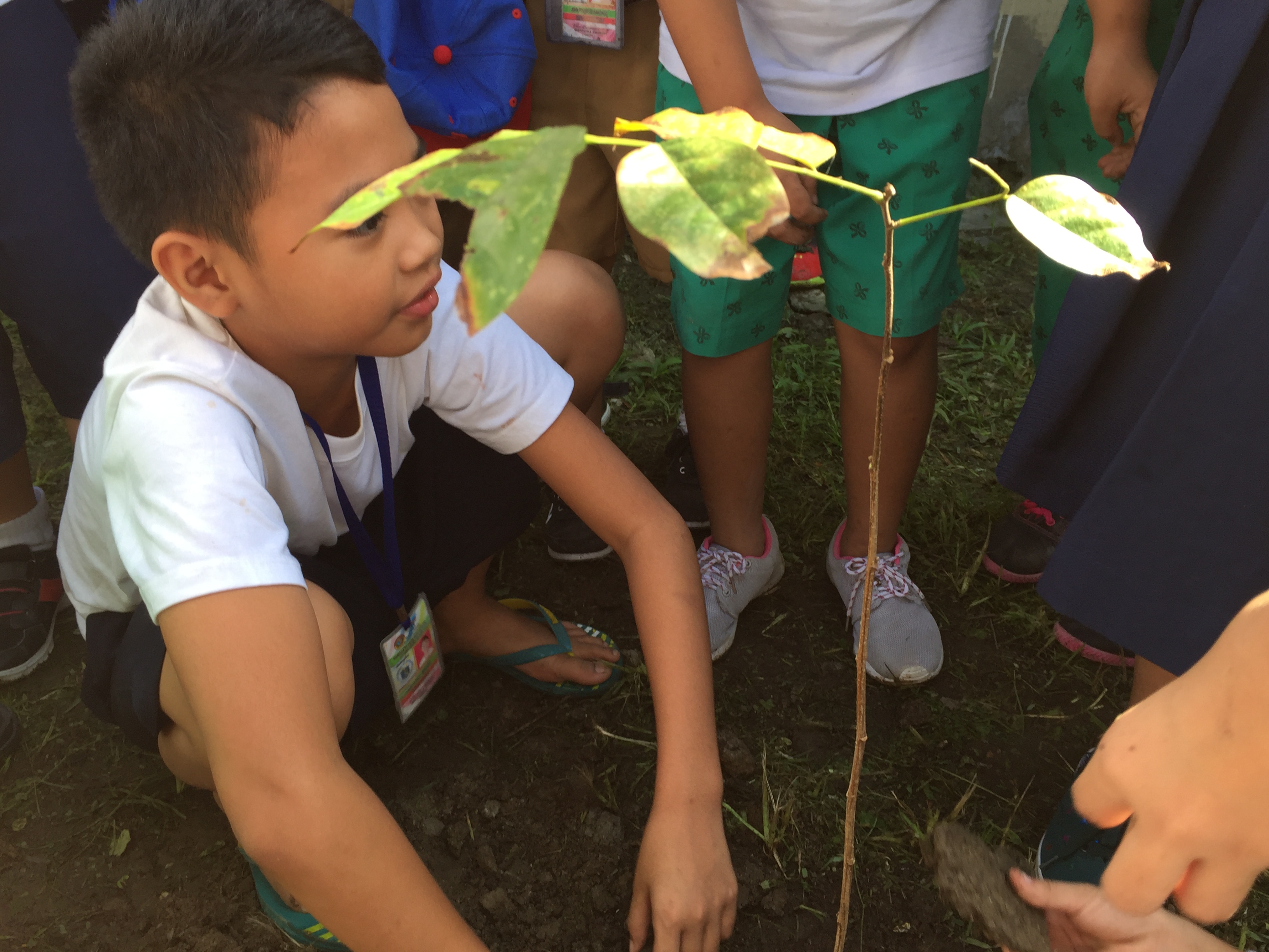 4000 Students Plant 800 Trees in 22 Hagonoy Public Schools to Tackle ...