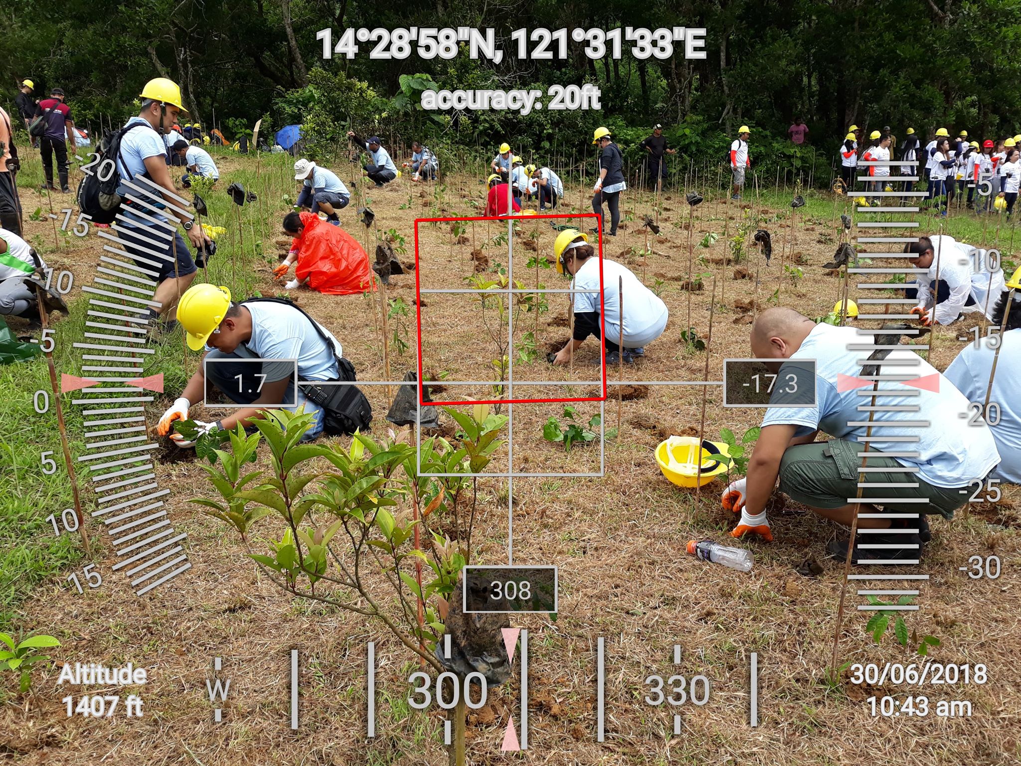 Teradata Cares: Planting 240 Native Trees to Restore Philippine Forests ...