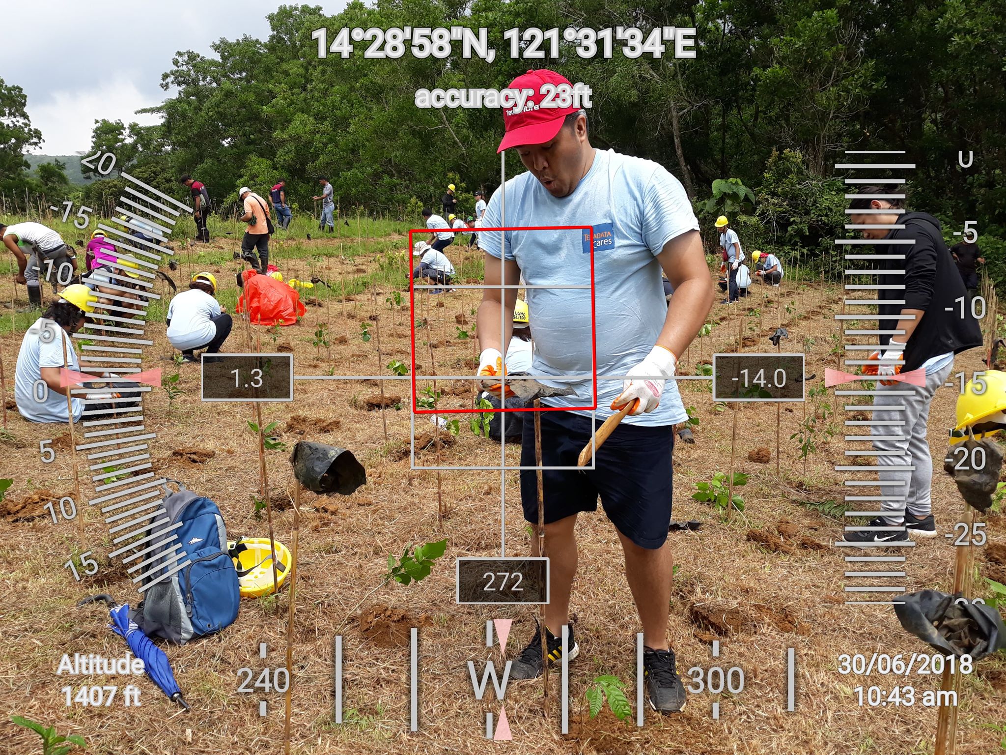 Teradata Cares: Planting 240 Native Trees to Restore Philippine Forests ...