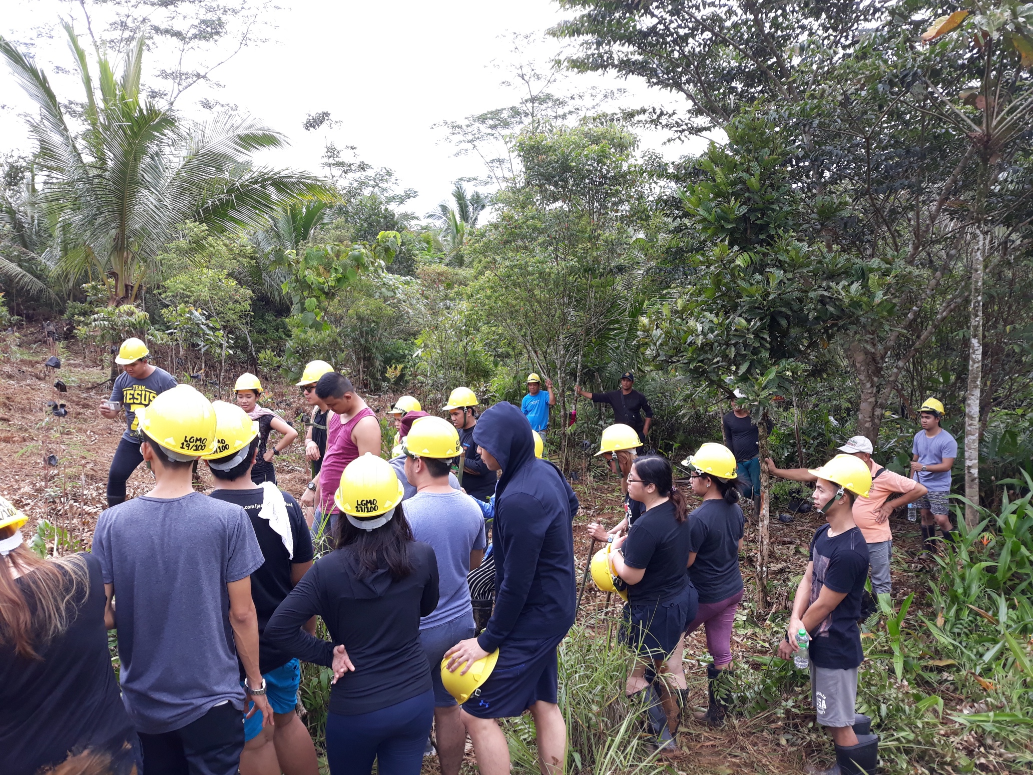 Call-out for Students and Volunteers for the Environment (SAVE ...