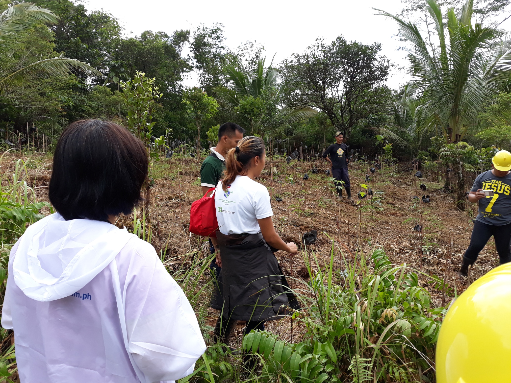 Call-out for Students and Volunteers for the Environment (SAVE ...