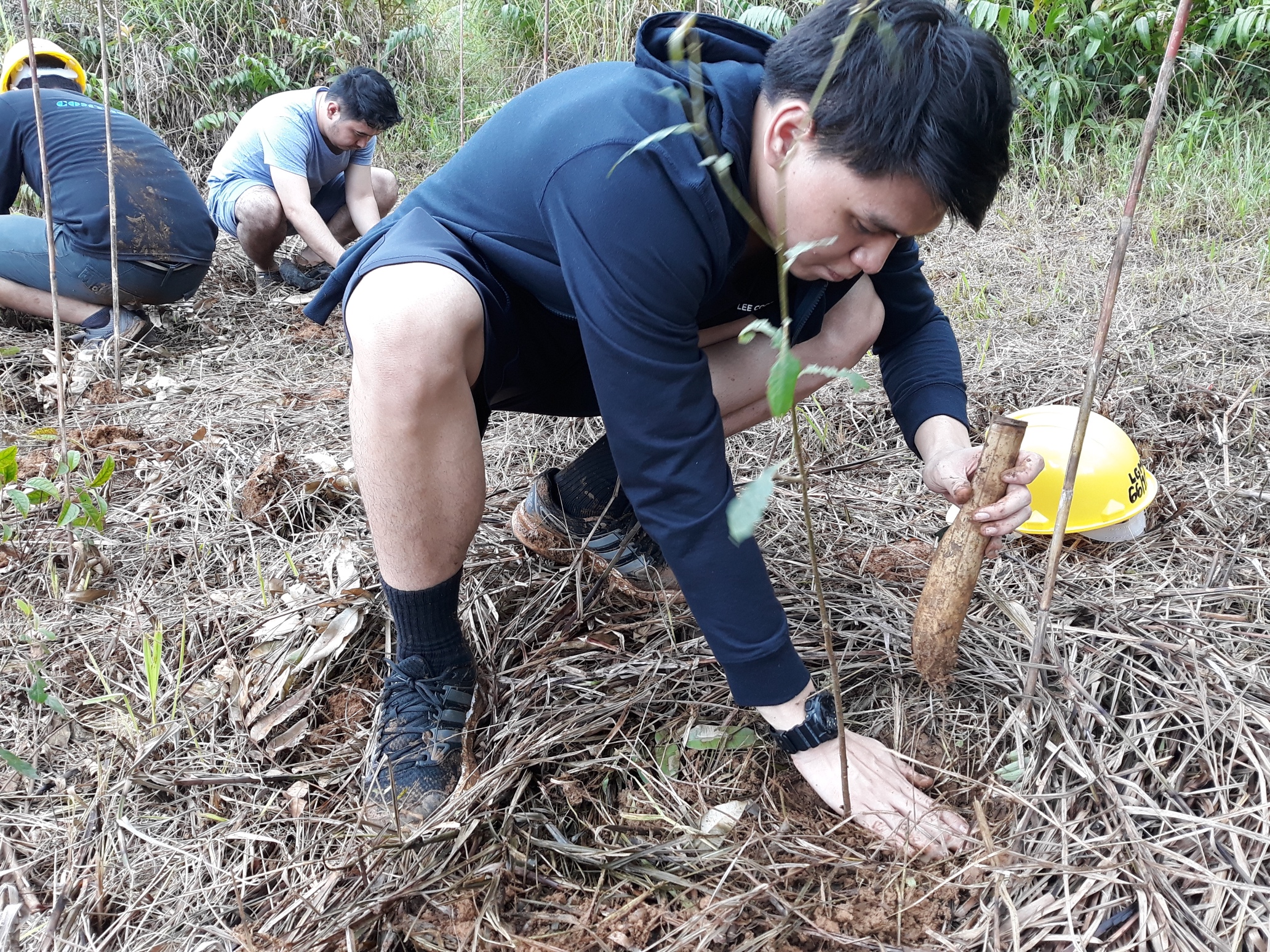 Call-out for Students and Volunteers for the Environment (SAVE ...