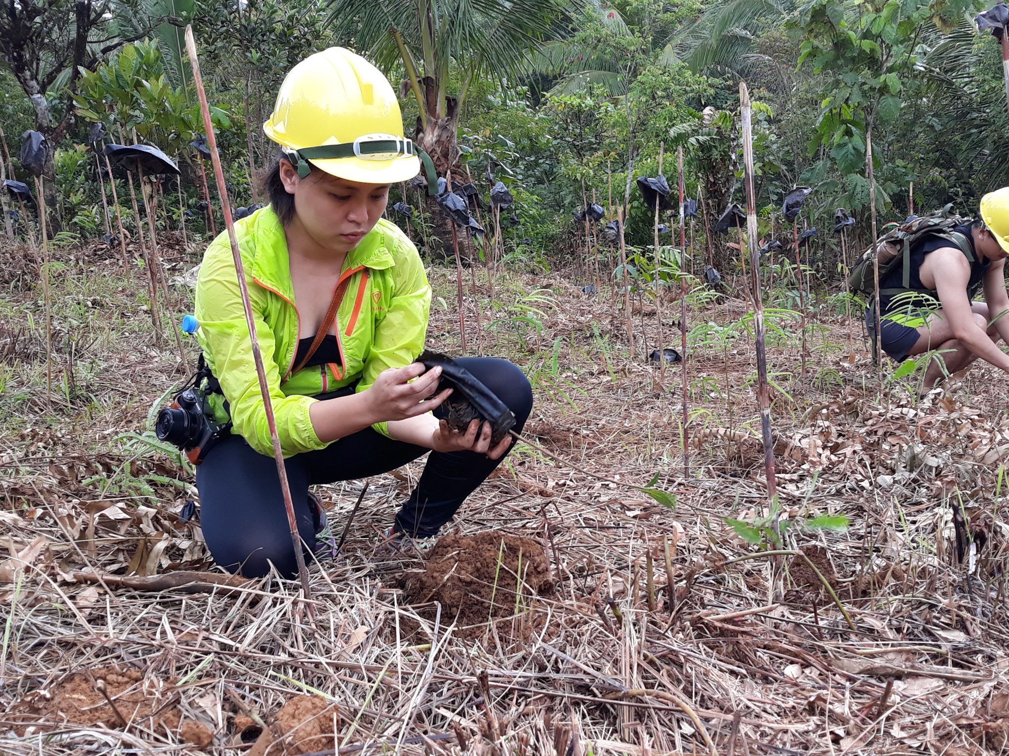 Call-out for Students and Volunteers for the Environment (SAVE ...