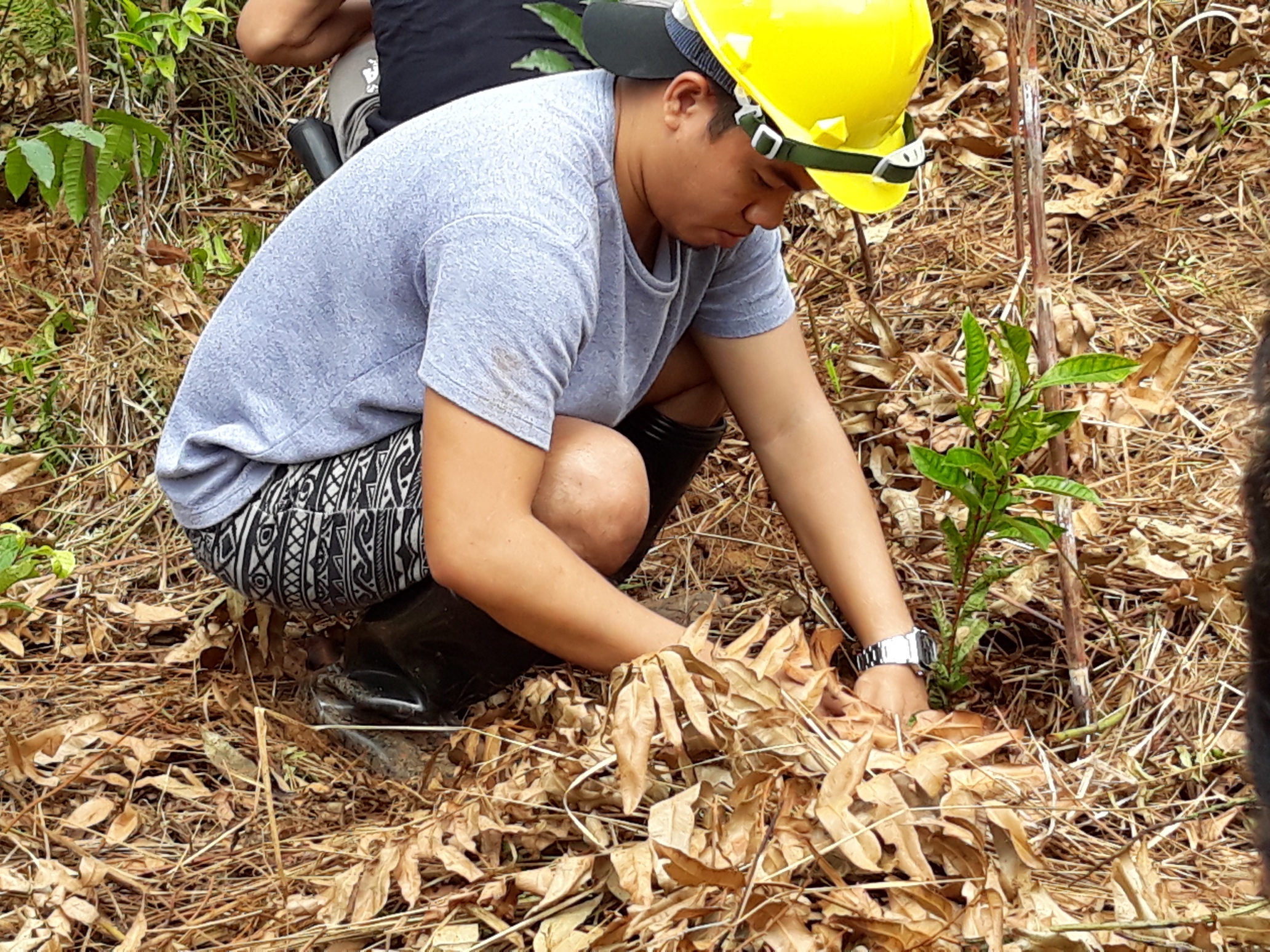 Call-out for Students and Volunteers for the Environment (SAVE ...