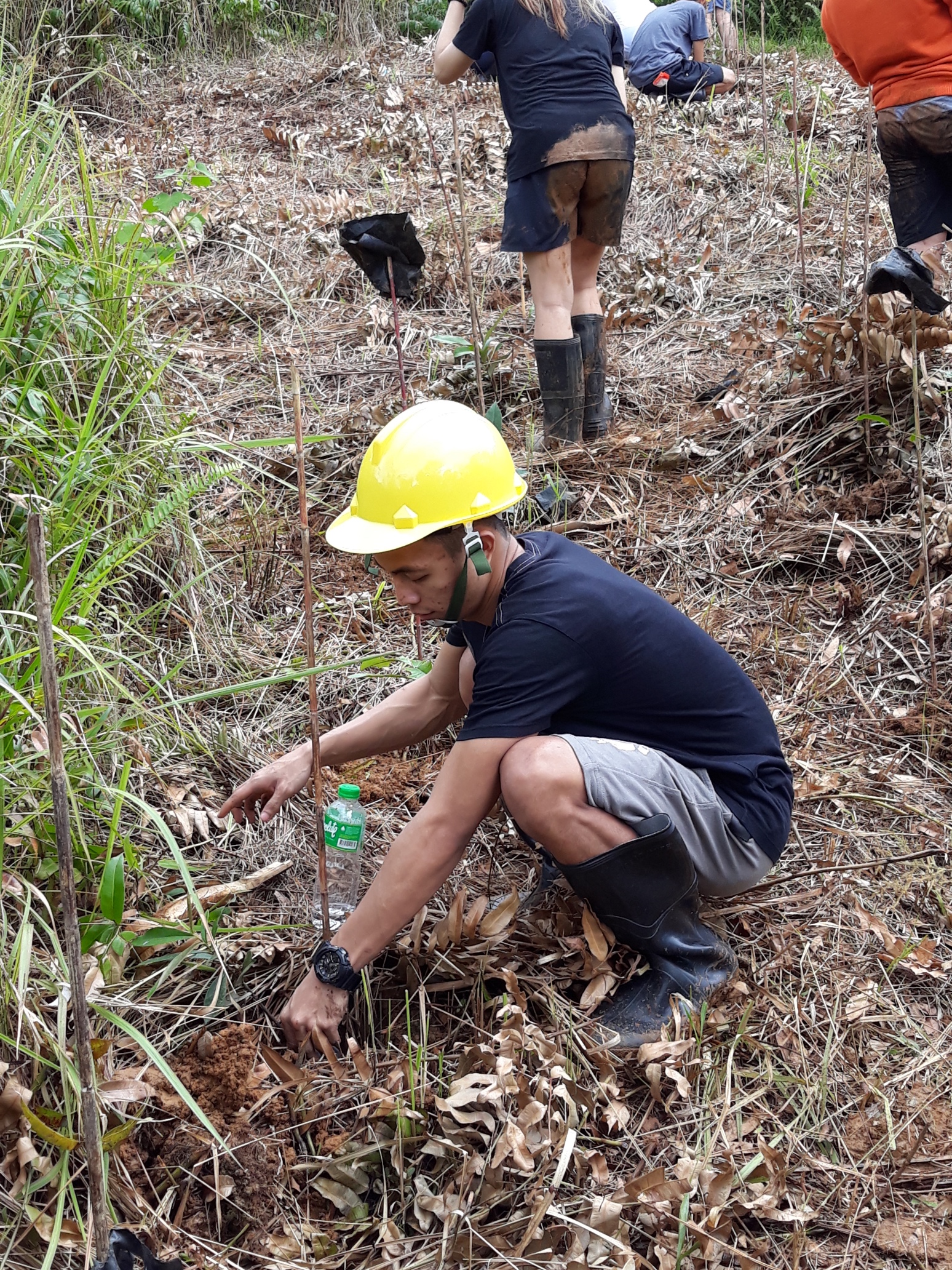 Call-out for Students and Volunteers for the Environment (SAVE ...
