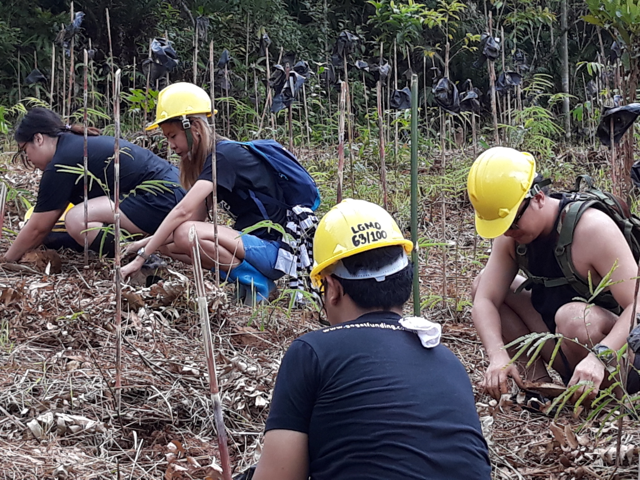 Call-out for Students and Volunteers for the Environment (SAVE ...