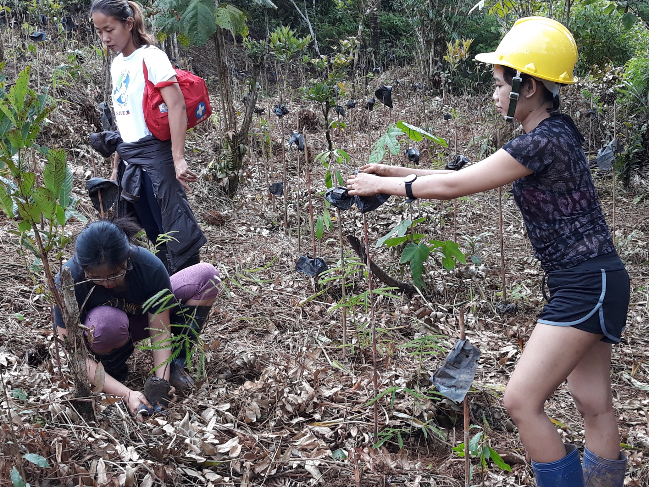 Call-out for Students and Volunteers for the Environment (SAVE ...