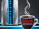 Optimizing Java Application Server Performance Felixrante