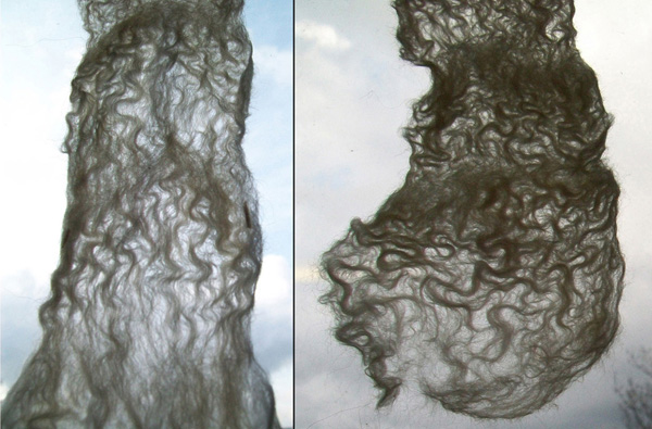 Wet Felting – Felting and Fiber Studio