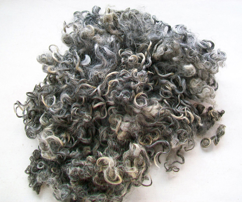 Wool and Other Animals Fiber Gallery – Felting and Fiber Studio