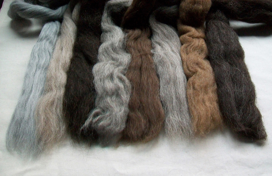 Wool and Other Animals Fiber Gallery – Felting and Fiber Studio