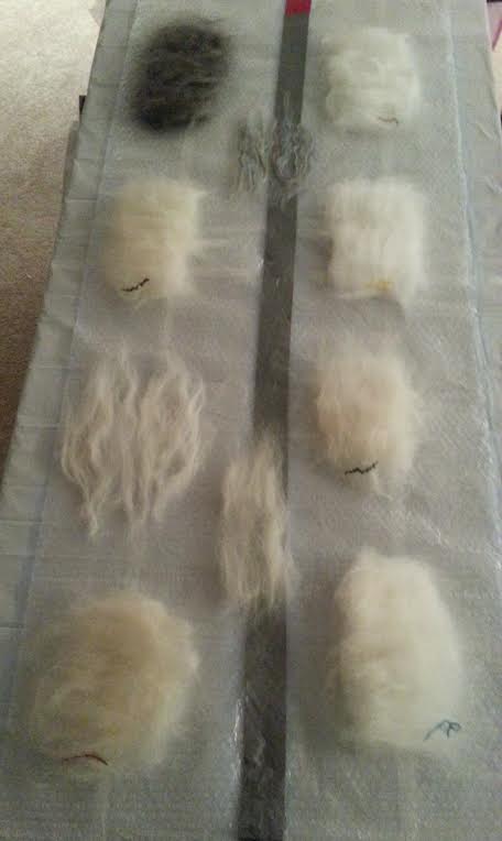 Sample Fibers – Felting and Fiber Studio