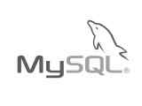 Programming Languages Mysql