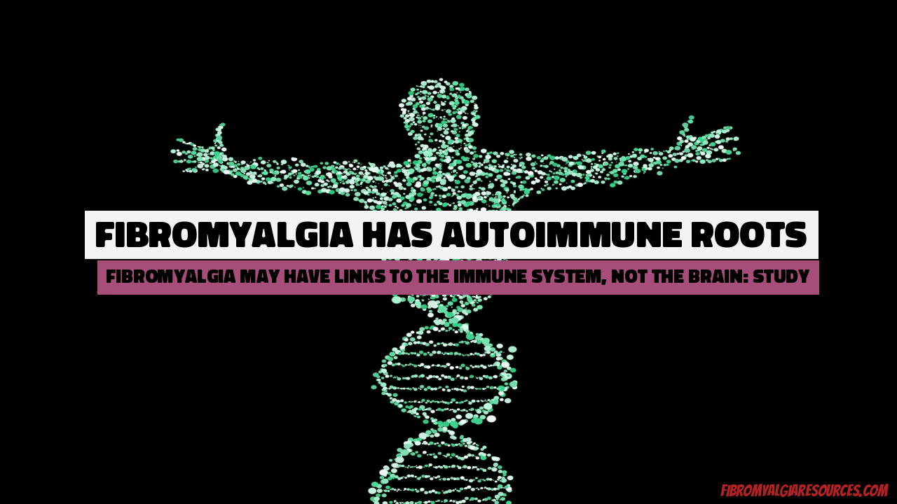 Fibromyalgia Likely The Result Of Autoimmune Problem, Research ...