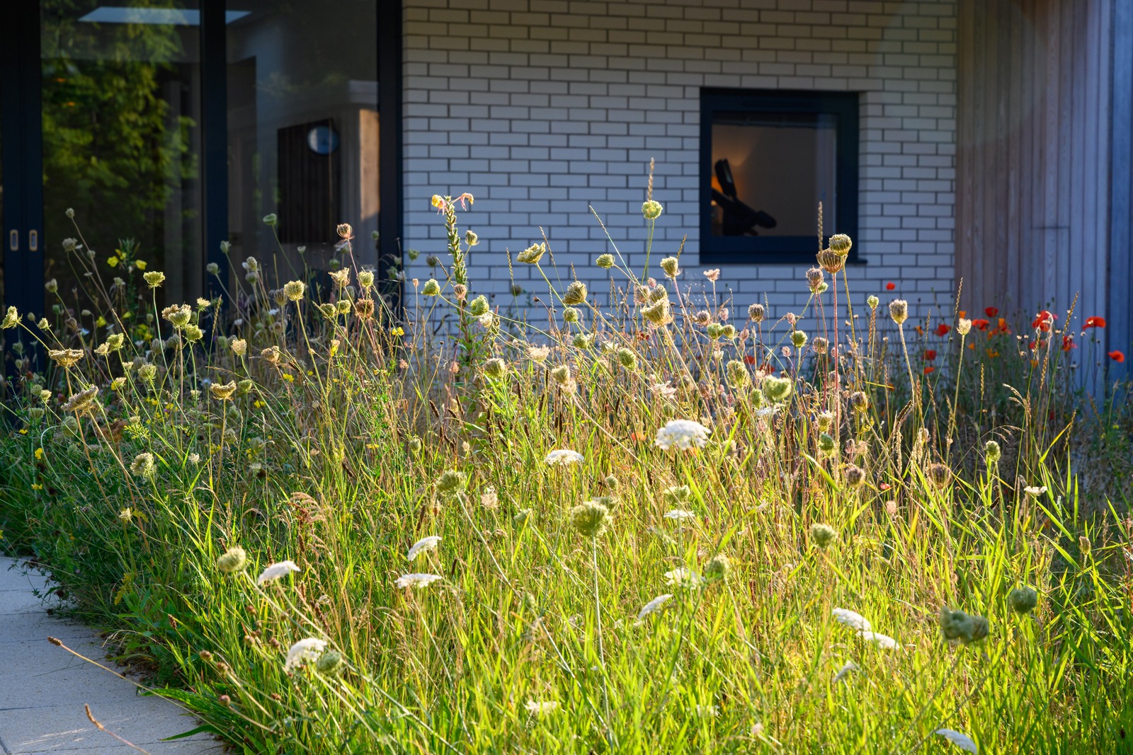 Green Roof Timber Extension and Renovation, Elie - Fife Architects