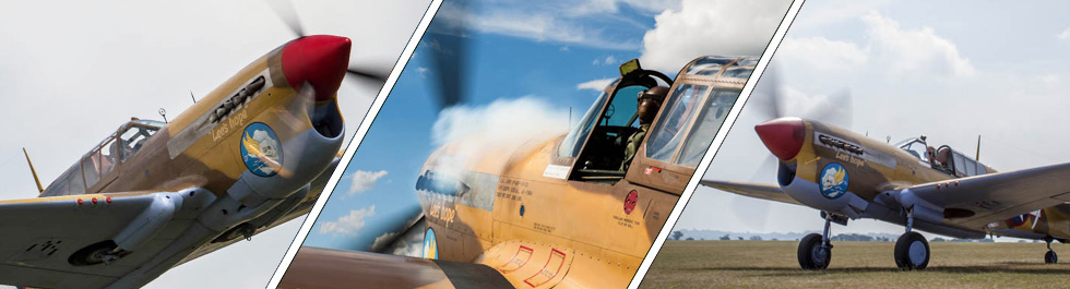 Curtiss P-40F Warhawk - The Fighter Collection